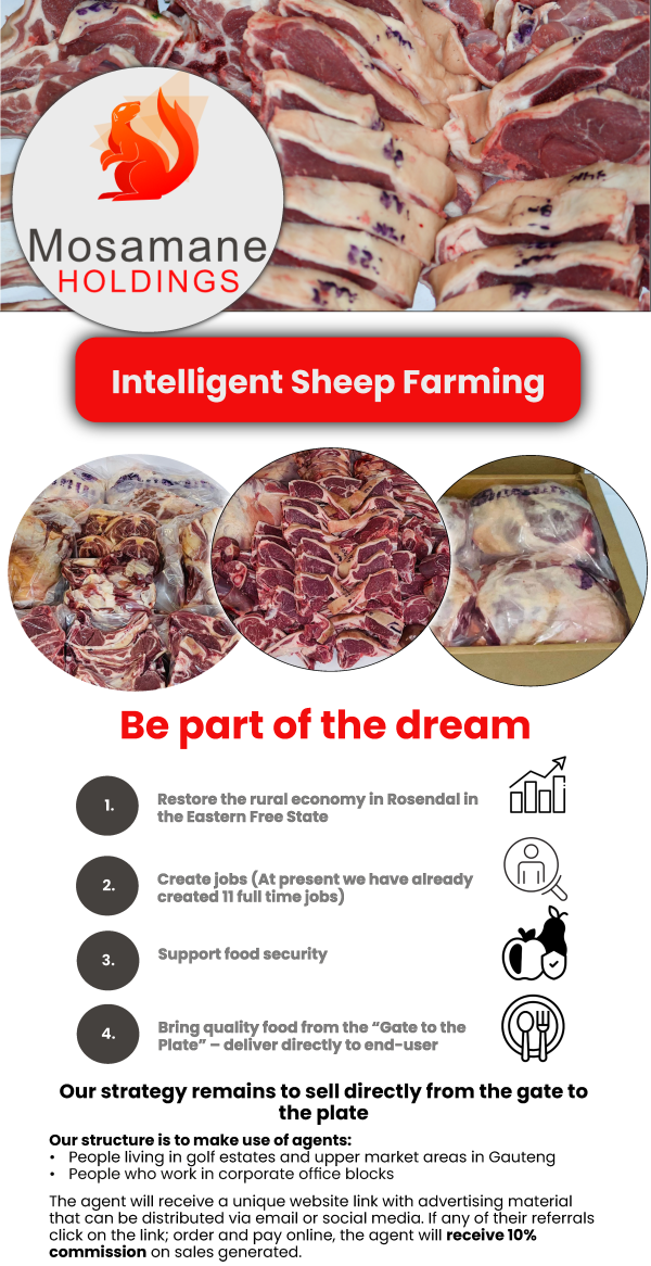 Mosamane Holdings – Committed to invest in and establish diversified ...