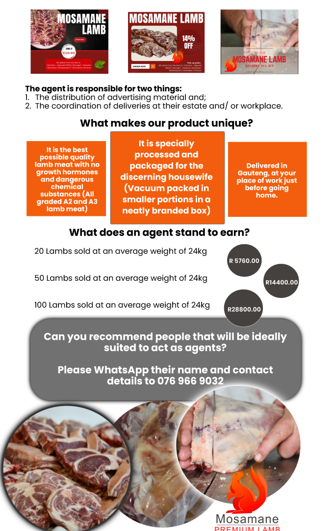 Mosamane Holdings – Committed to invest in and establish diversified ...