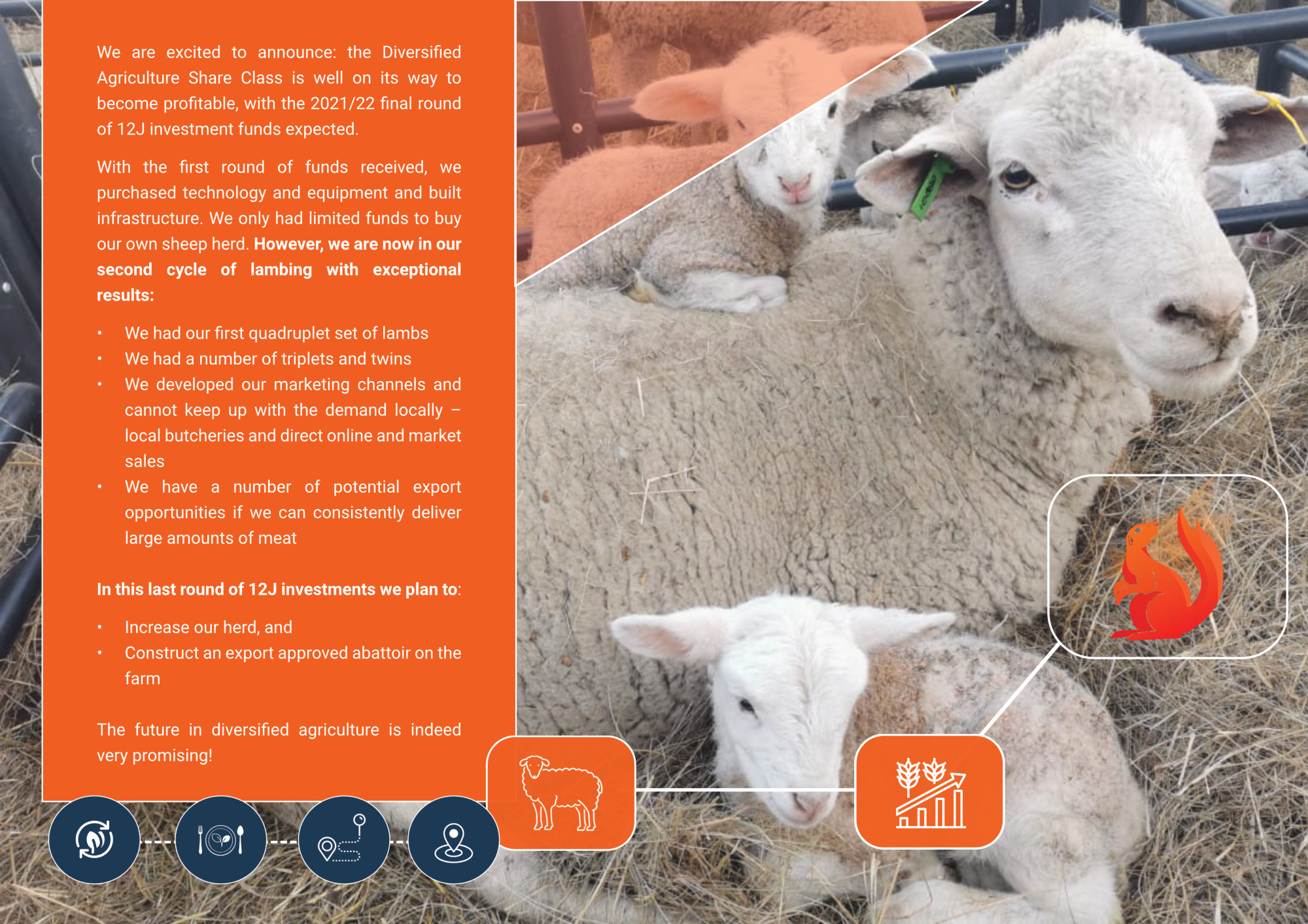 Fundraising Strategy – Mosamane Holdings